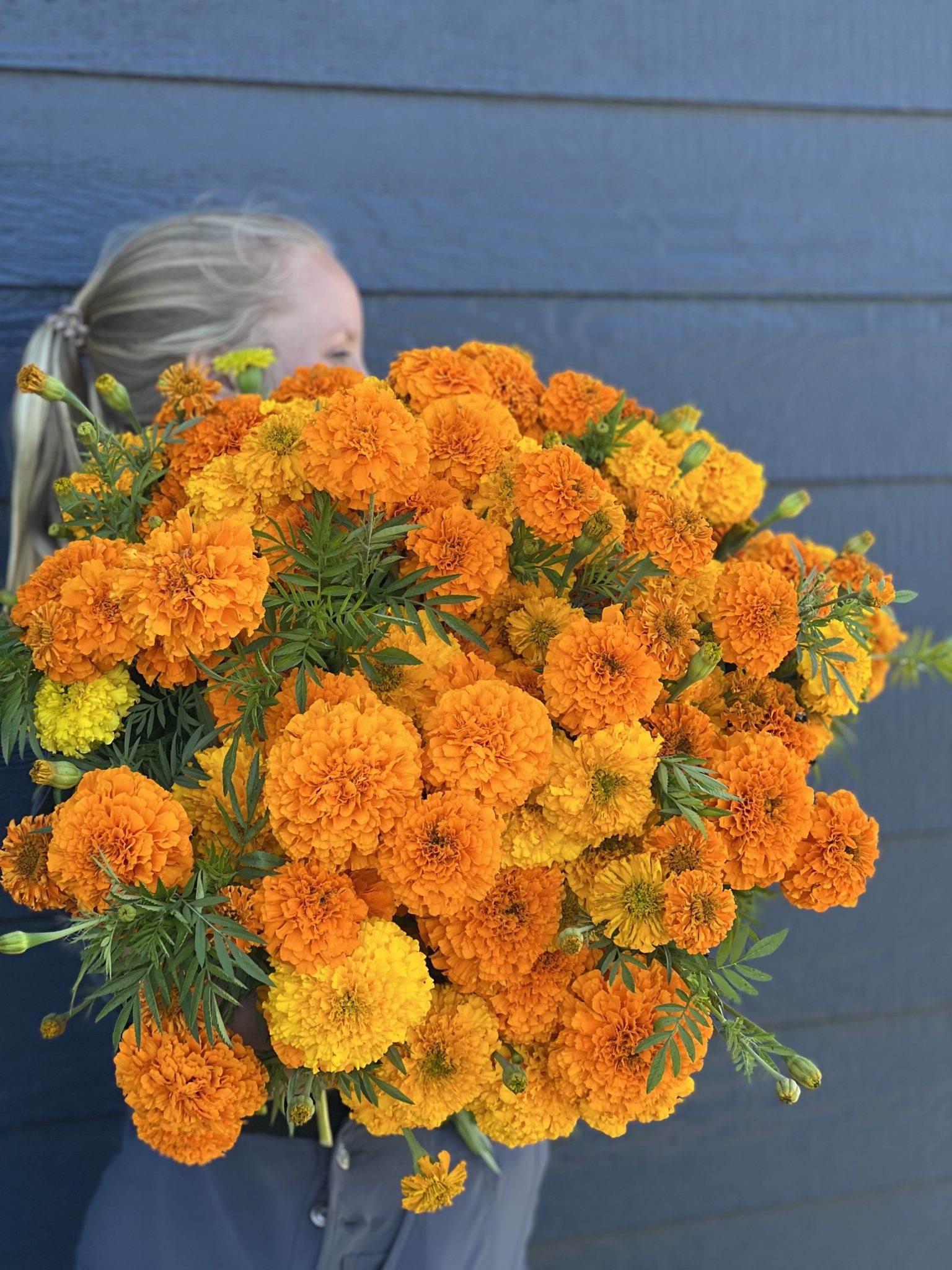 6 Ways I Plan to Simplify Flower Farming This Season - Aberdeen Grows